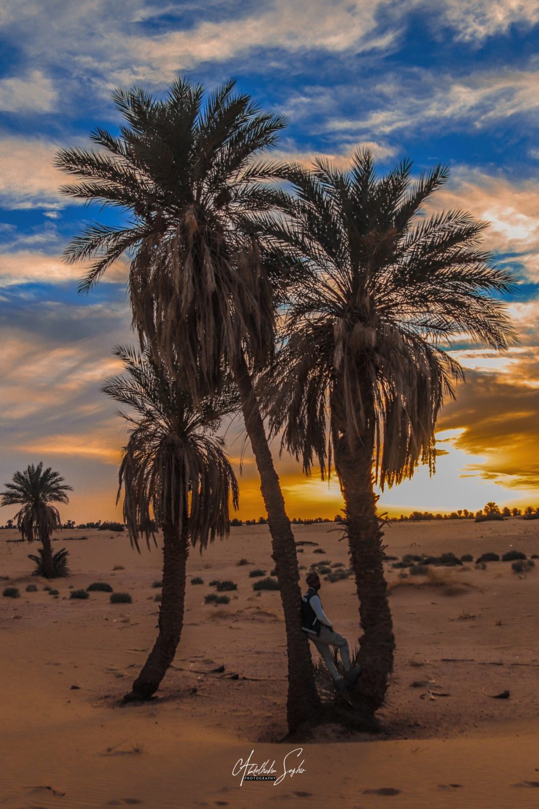 10 bonnes raisons de visiter Adrar