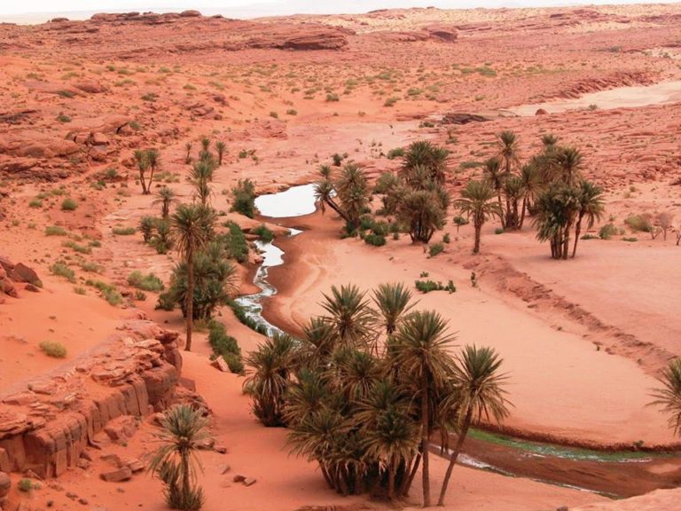 10 bonnes raisons de visiter Adrar