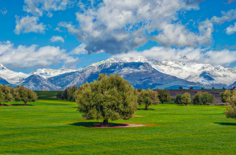 Les cinq merveilles en pleine nature d'Algérie