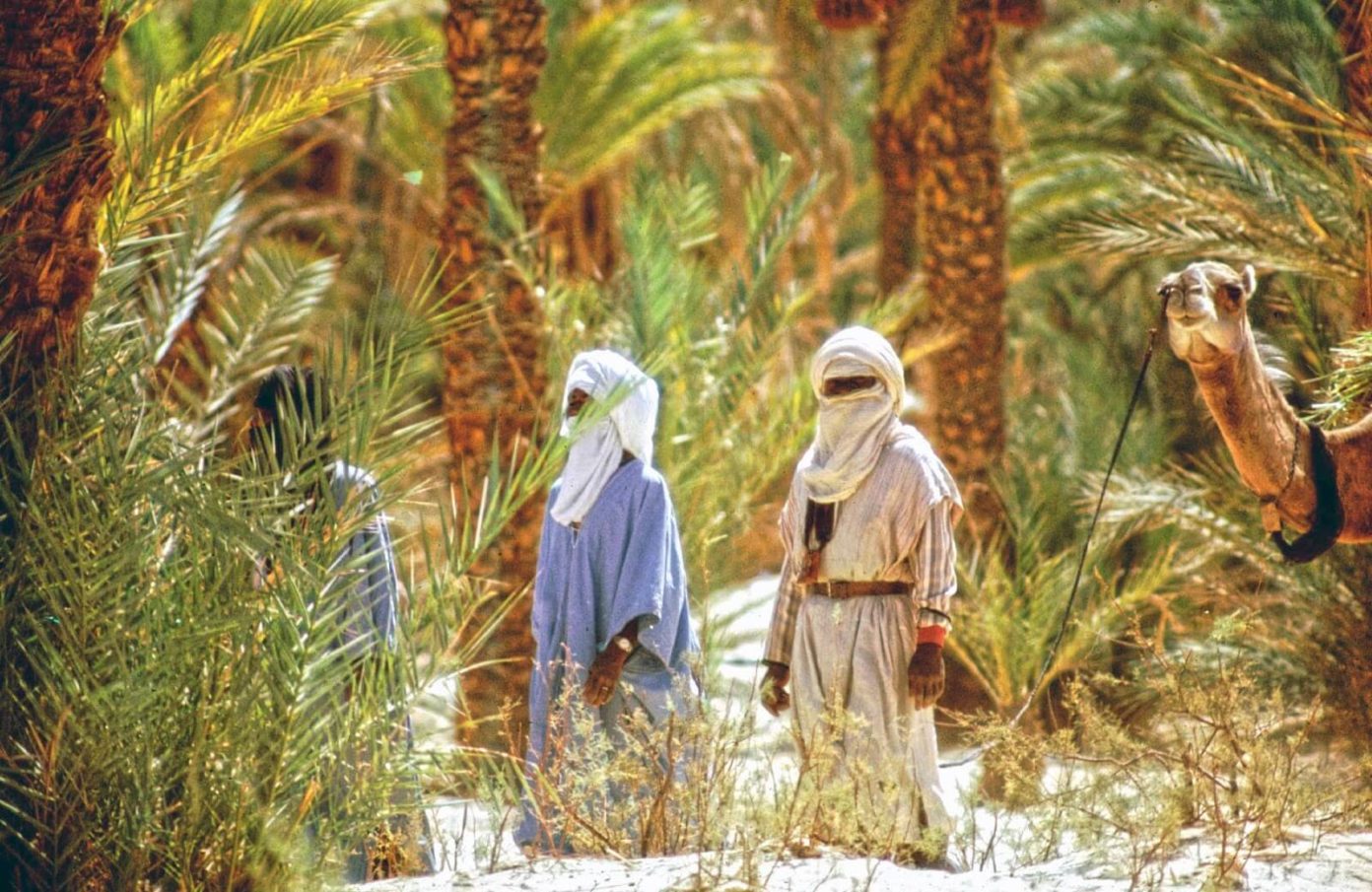 10 bonnes raisons de visiter Djanet