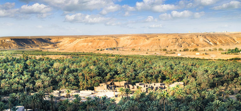 10 bonnes raisons de visiter Béchar