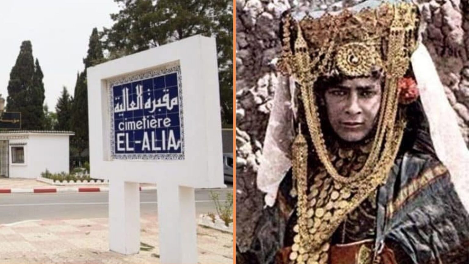 Elle porte le nom du plus grand cimetière d’Alger : Hamza El-Alia, la ...