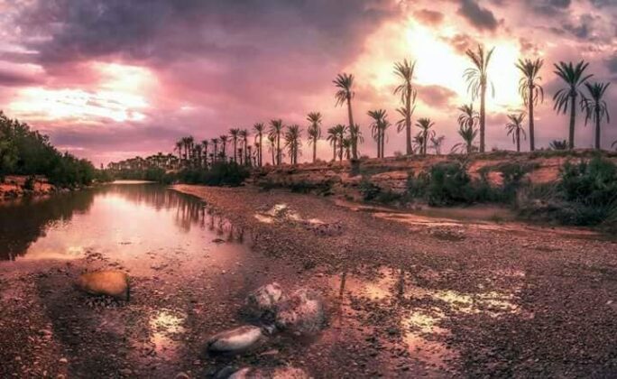 Le palmeraie de Ouled Djellal comme vous ne l’avez jamais vue